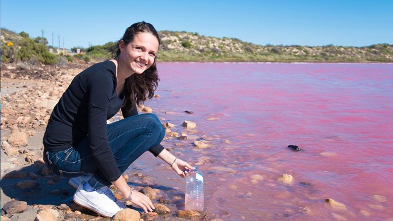 TOP 5 des plus beaux lacs roses d'Australie