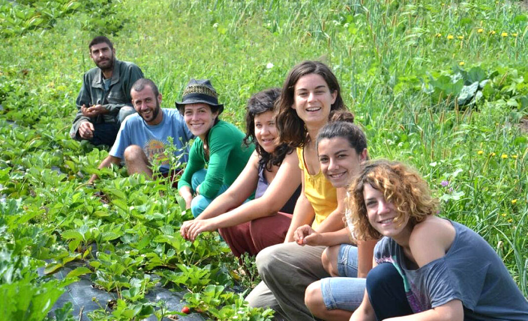 C'est quoi le Wwoofing en Australie