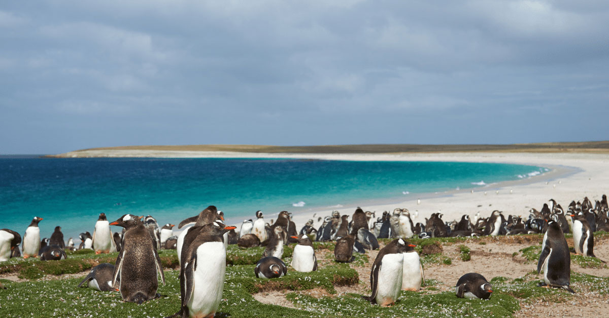 Visiter Perth : Le Guide Complet des Incontournables